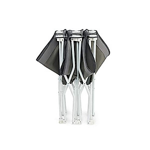 Regalo My Cot Pals Small Single Portable Toddler Bed , Raccoon, Blue , 48x24.5x9 Inch (Pack of 1)