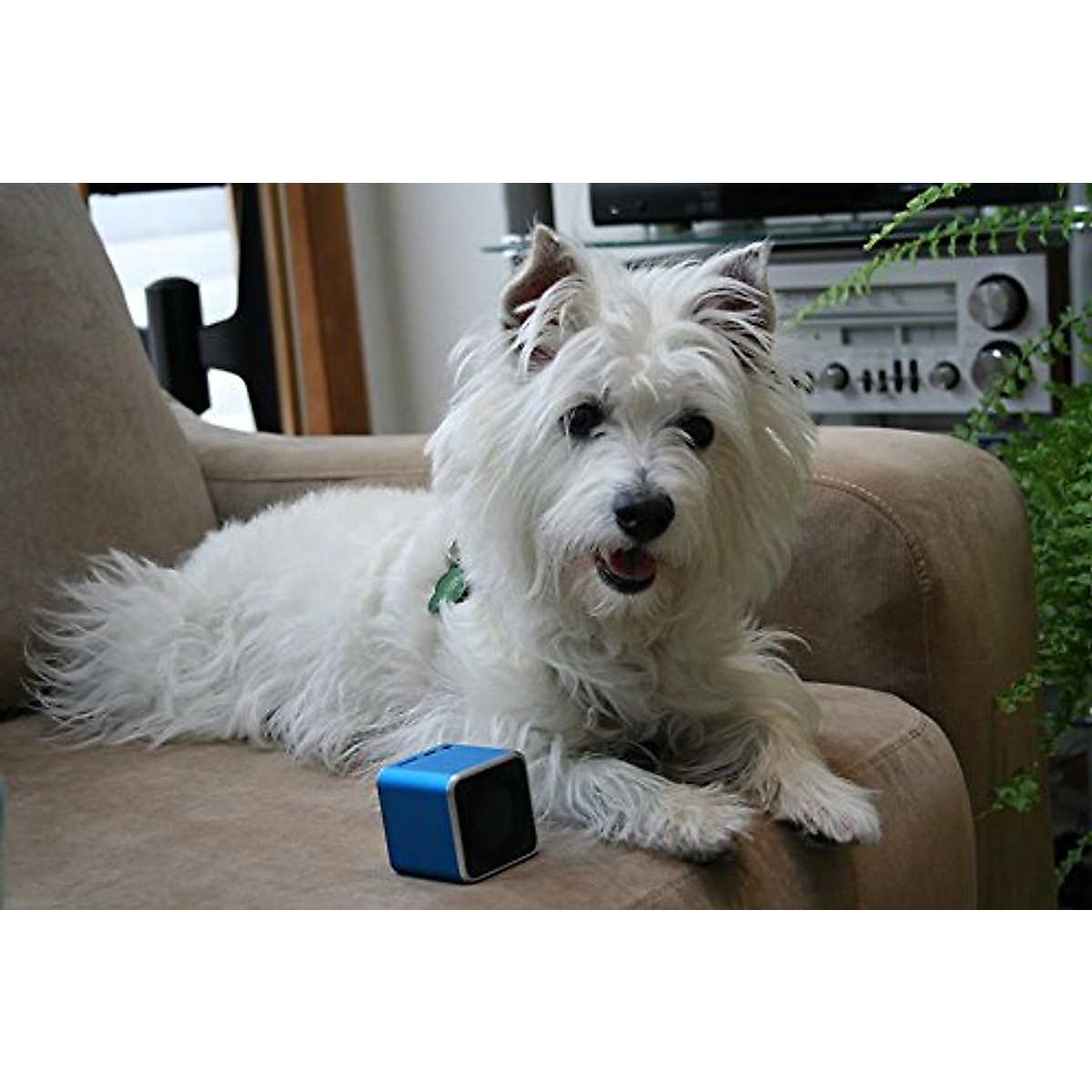 Pet Tunes Bluetooth Speaker Preloaded with Calming Canine Music