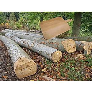 Wood Cutting Board With Handle,Large Wooden Chopping Board for Kitchen,Charcuterie Boards Meat Cheese Pastry Fruit Bread Board,Serving Board Butcher Block,tabla de picar cocina16X9''