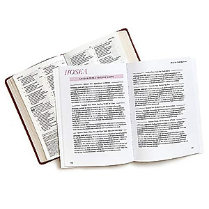 Hosea: Unfailing Love Changes Everything (Member Book) (Bible Study)