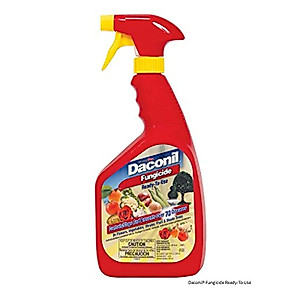 Gardentech Daconil Fungicide Rtu Spray