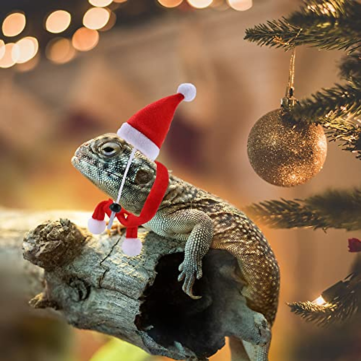 Mogoko 4Pcs Bearded Dragon Christmas Costume Lizard Santa Hat with Scarf Christmas Costumes Set with Adjustable Elastic Chin Strap for Bearded Dragon Guinea Pig and Small Animals Xmas Clothes