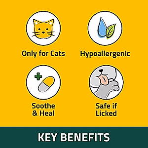 Breezytail PetO’Cera Itchy Skin Relief Treatment Cream for Cats - Paw Lotion Soothing Balm | Cat Skin Ointment & Dermatitis Solution for Normal Dry Irritated and Sensitive Skin | 1.35oz