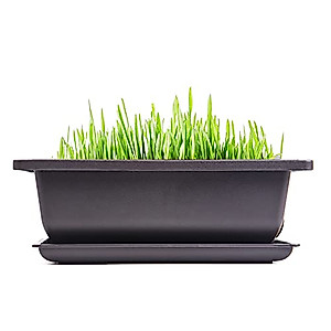 Bonsai Pots – 3pcs Bonsai Pot with Humidity Trays for Indoor Plants – Bonsai Pots with Drainage Tray and Built-In Mesh – Durable Plastic Bonsai Tree Pot with Irrigation Holes – 9"D x 6.7"W x 3"H