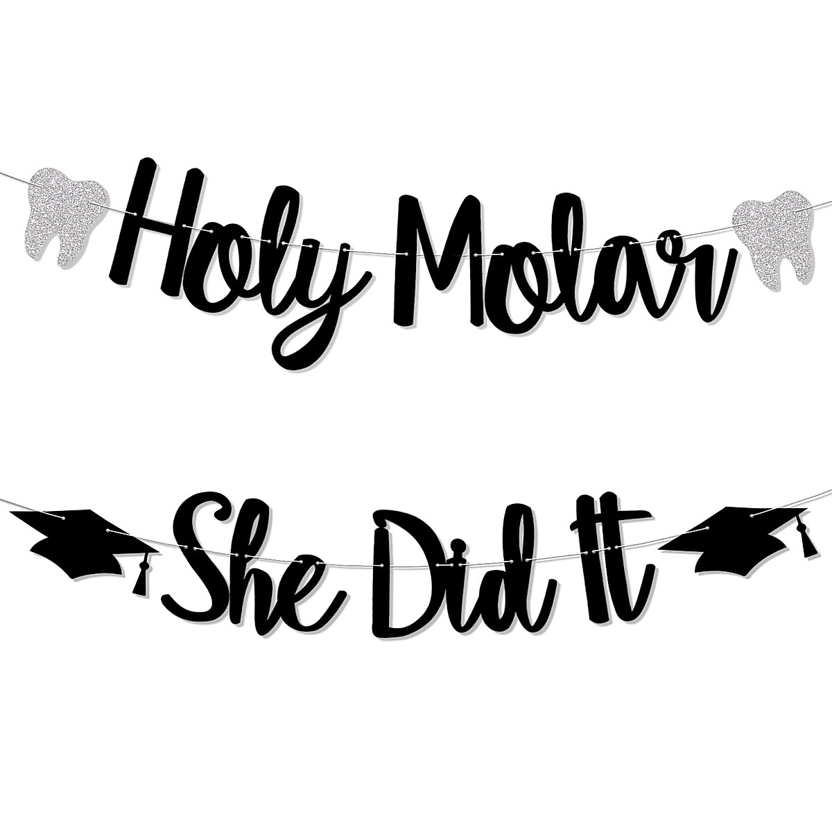 Holy Molar She Did It Banner, Hygienist Grad Decor, Hygiene Queen, Congrats RDH Banner, Dentist Graduation Party Decorations, New Dental Graduation Party Decorations Black Glitter