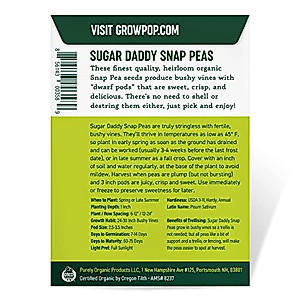 Purely Organic Products Purely Organic Heirloom Snap Pea Seeds (Sugar Daddy) - Approx 90 Seeds