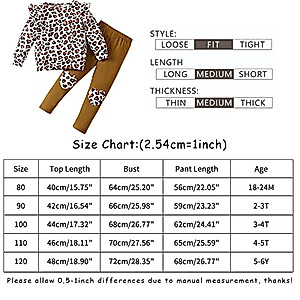 QLIPIN Little Girls 2 Piece Outfits Toddler Leopard Print Sweatshirts and Leggings Set School Outfits Clothes Fall Sets