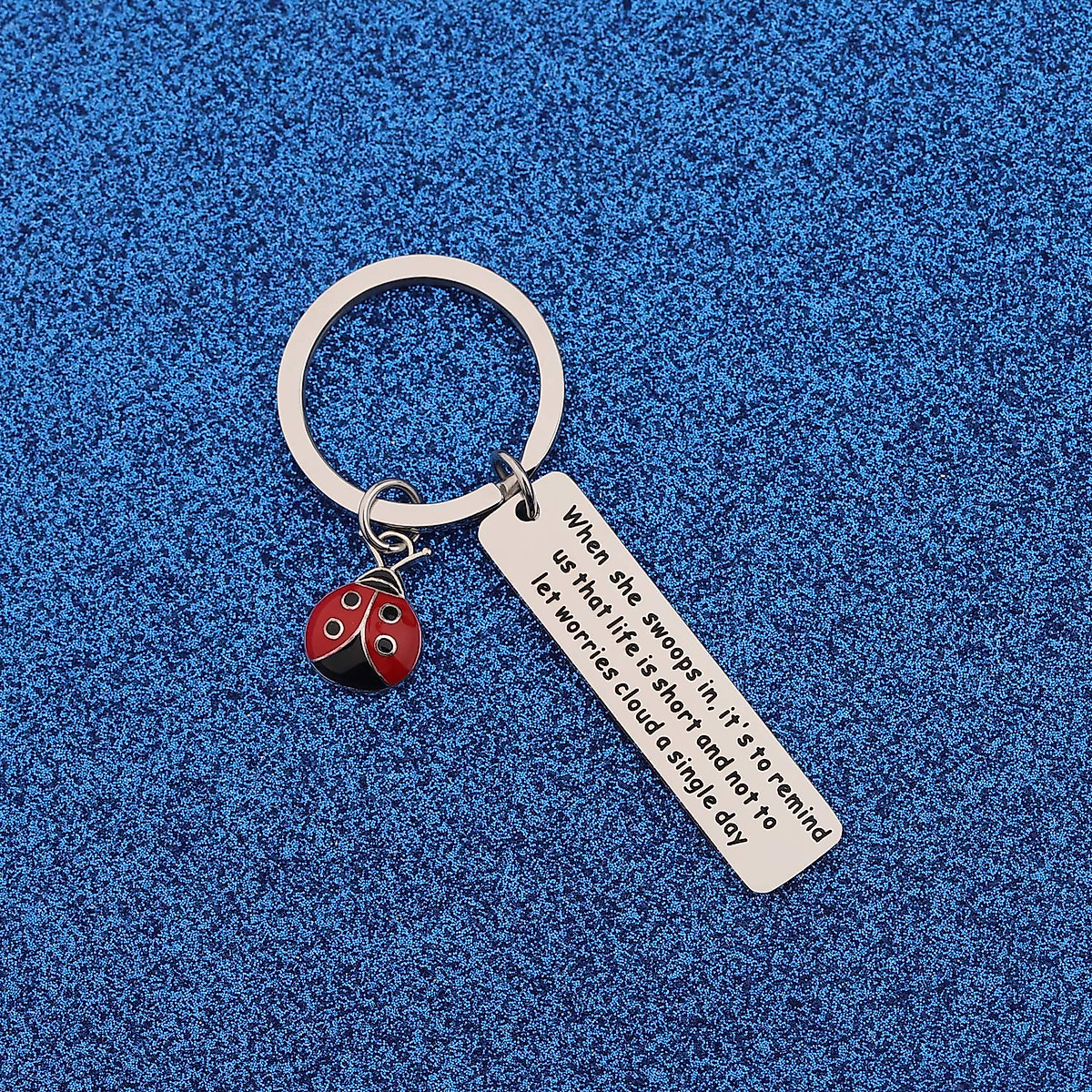 WUSUANED Good Luck Ladybug Keychain When She Swoops In It Remind Us Not Be Let Worries Cloud A Single Day Ladybug Lover Gift
