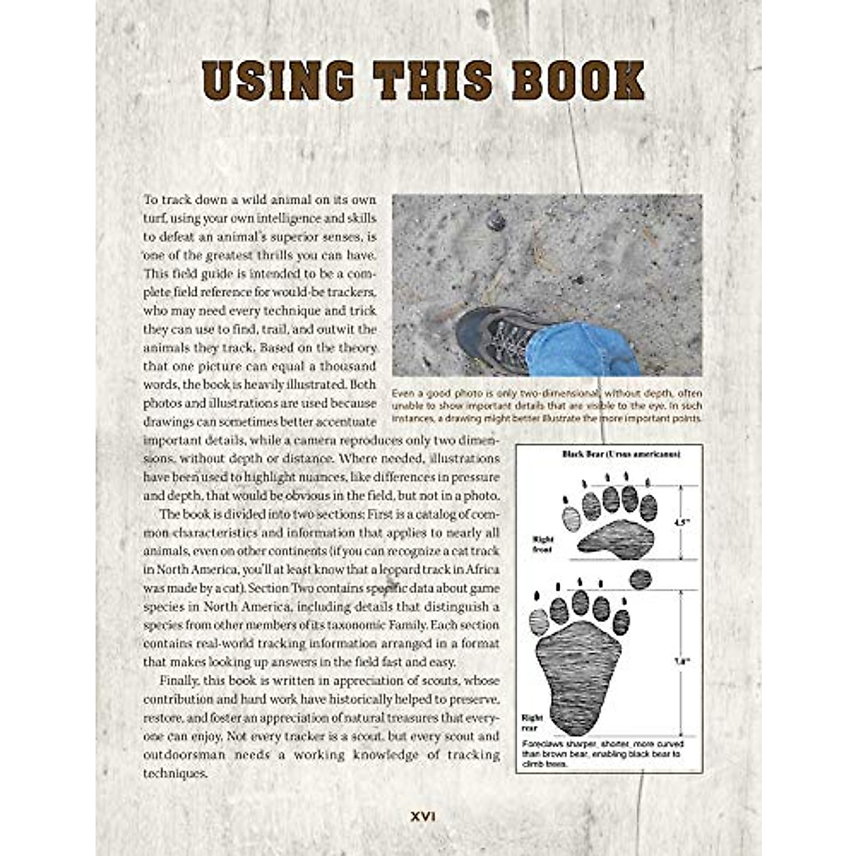 The Scouting Guide to Tracking: An Officially-Licensed Book of the Boy Scouts of America (A BSA Scouting Guide)