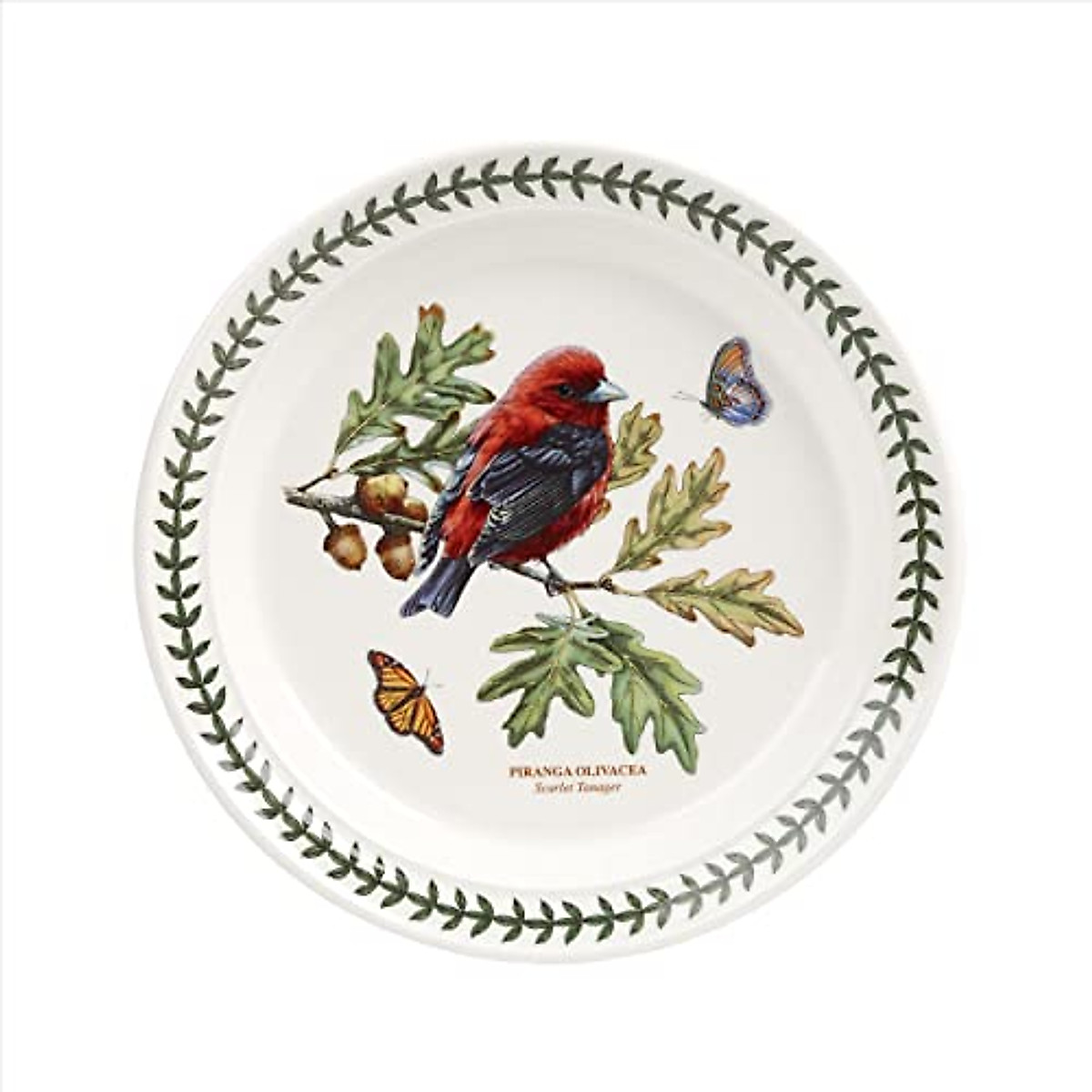 Portmeirion Botanic Garden Birds Collection Salad Plates | Set of 6 Plates 8.5 Inch with Assorted Bird Motifs | Made of Earthenware | Dishwasher and Microwave Safe | Made in England