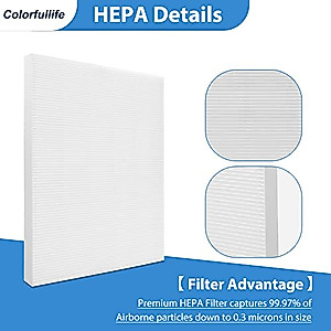 Colorfullife C545 True HEPA Replacement Filter S, Compatible with Winix C545 Air Purifier, Replace Part 1712-0096-00, 2 H13 Grade True HEPA + 8 Activated Carbon Filters