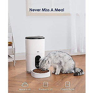 Flurff Automatic Cat Feeder, 6L WiFi Enabled Smart Pet Feeder with Stainless Steel Bowl, Auto Dog Feeder with APP Control, 1-10 Meals Per Day, 10s Voice Recorder