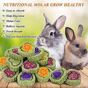 SYWHXY 20PCS Bunny Chew Toys, Rabbit Toys for Bunny's Teeth Organic Timothy Hay Cakes for Rabbits, Chinchilla, Hamster, Guinea Pig Reliable Rabbit Chew Toys for Teeth