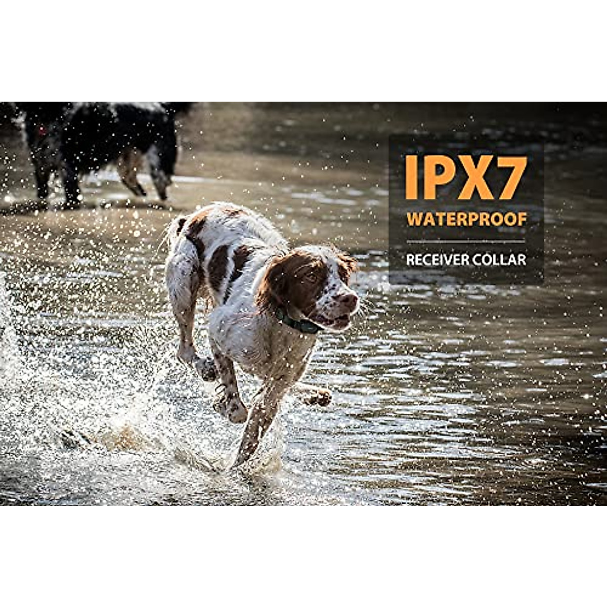 PATPET Dog Training Collar with Remote(3/4 Mile) - Outdoor Hunting E Collar for Dogs Training, Shock Collar for Medium Large Dogs(15-140 lbs)