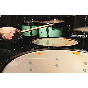 Meinl Cymbals pc Drum Honey Dampening Gel Pads, 12 Piece Assortment with Varying Sizes — Includes Container and Dividers (MDHA)