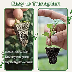 HEURYTEP 15 Packs Biodegradable Seed Starter Tray, 180 Cells Seed Starter Pots, Organic Peat Pots Kits, Seedling Starter Pots Garden Germination Trays with 20 Plant Labels, Middle Size