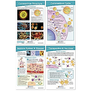 NewPath Learning Coronavirus Structure & Immunity Bulletin Board Chart Set, Set/4 - Laminated, Double-Sided, Full-Color, 12" x 18" (94-7716)