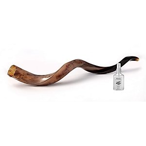 Yemenite Kudu Horn Shofar Shofars with Free Anti Odor Spray, guide Shofar from Israel (26"-28", Polish)