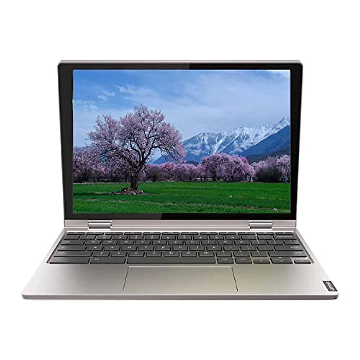 Lenovo ChromeBook C340 11.6" HD (1366 x 768) 2-in-1 360° flip-and-fold Design Touchscreen Laptop, Intel Celeron N4000, 4GB RAM, 32GB eMMC, Webcam, Bluetooth, Chrome OS, EAT 64GB SD Card, Platinum Gray