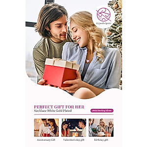 AINUOSHI Heart Necklace Sterling Silver Necklaces for Women Pink Cubic Zirconia Diamond Pendant Anniversary Birthday Christmas Gifts for Her Hypoallergenic