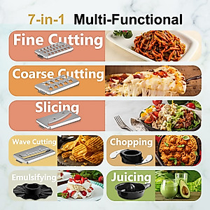 Food Processor 5 Variable Speeds Vegetable & Juicing