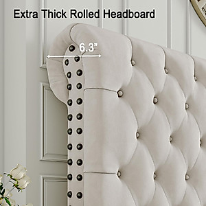 Jocisland Upholstered Bed Frame Queen Velvet Tufted Sleigh Headboard Cream