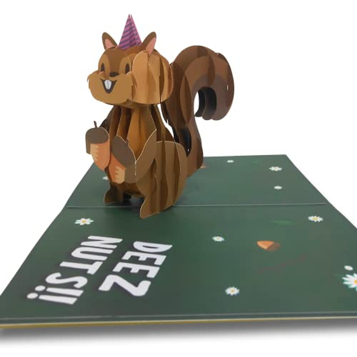 Sleazy Greetings Squirrel Pop Up Birthday Card | Funny Birthday Card for Men Women | Squirrel 3D Greeting Cards 5x7 Inch