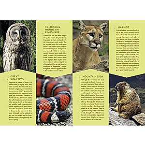 Compass American Guides: Yosemite and Sequoia/Kings Canyon National Parks (Full-color Travel Guide)