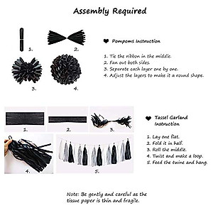 ANSOMO Black and White Party Decorations and Supplies, for Baby Shower and Birthday Graduation Bachelorette with Paper Fan and Tassel Garland