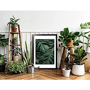 Annecy 20x30 Frame Black 1 Pack, Classic 20x30 Picture Frame Display 18x24 Pictures with Mat or 20x30 without Mat, Horizontal and Vertical for Wall-Mount, Decorate Home and Office with Large Paintings