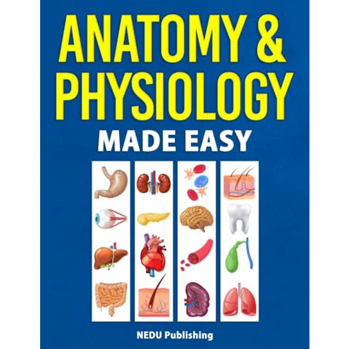 Anatomy & Physiology Made Easy: An Illustrated Study Guide for Students To Easily Learn Anatomy and Physiology