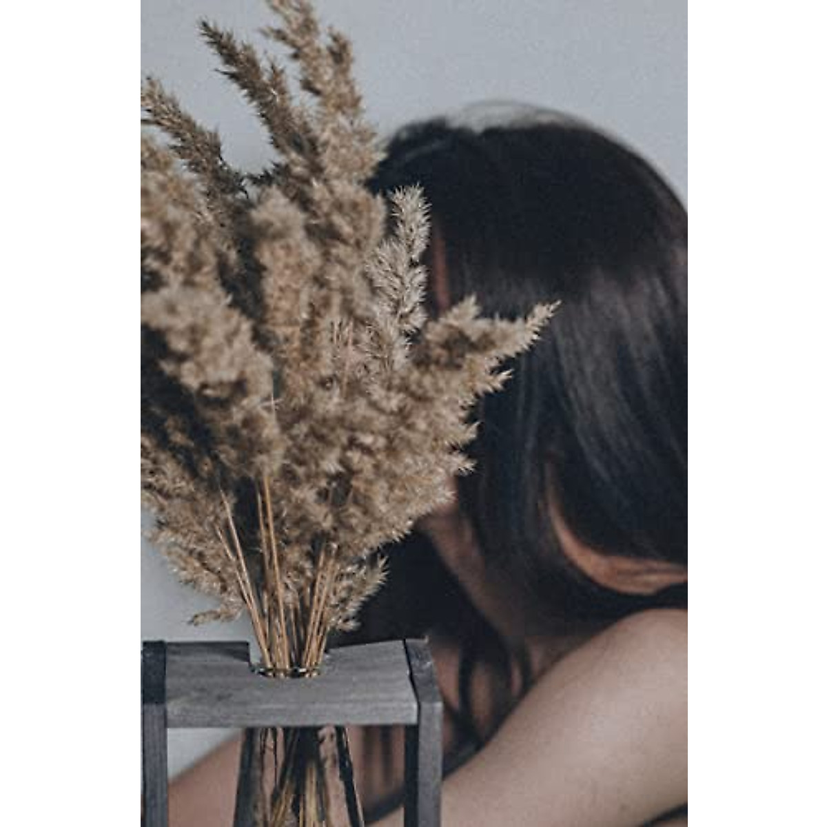 Pampas Grass Decor, Natural Dry Pampas Grass Small, Short Pampass Bulk for Farmhouse, Wall, Kitchen, Bedroom Decor, Office Decor (17 inch )