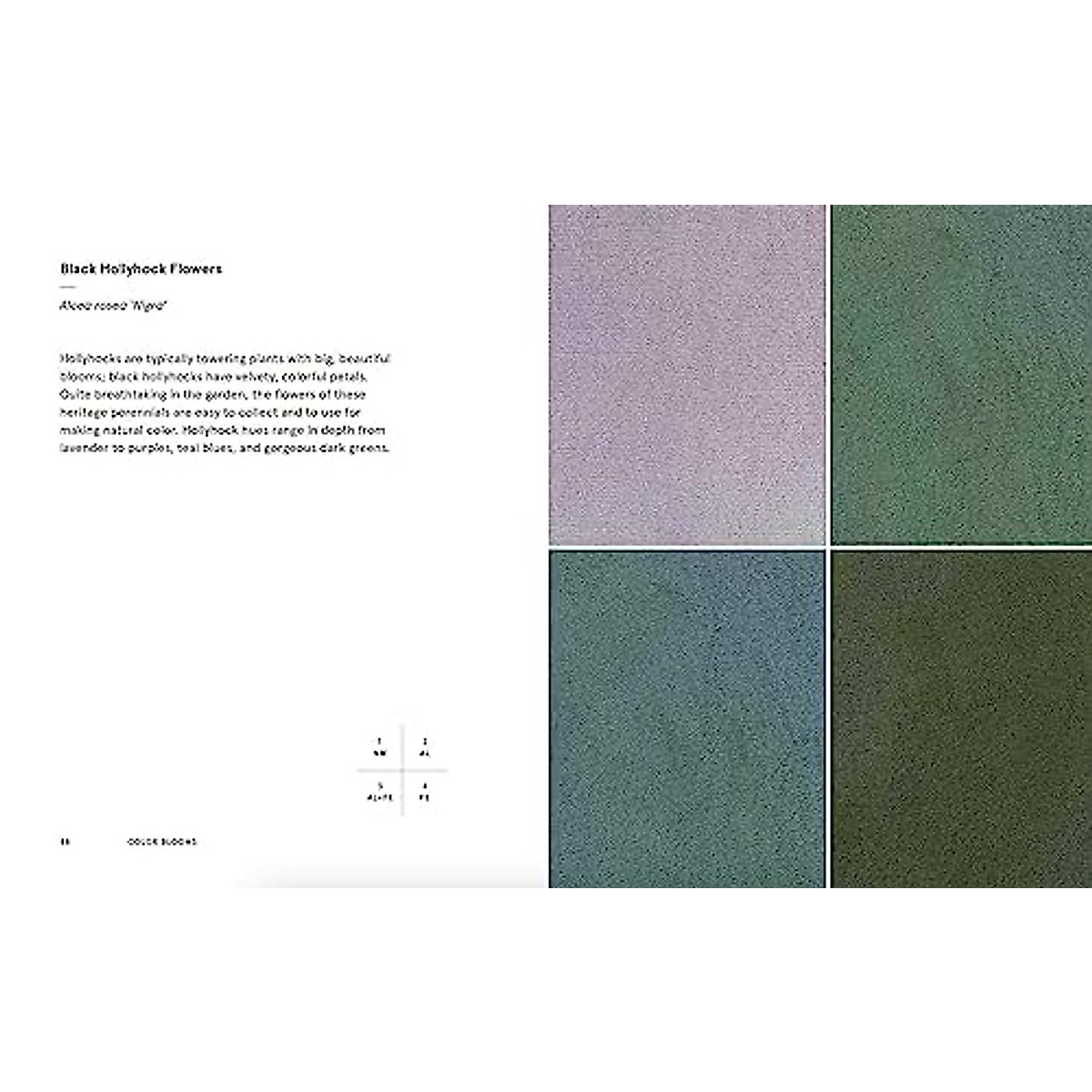 Natural Palettes: Inspiration from Plant-Based Color