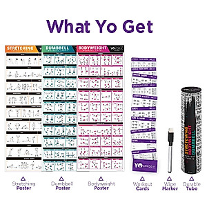 YoYork Exercise Posters for Stretching, Dumbell & Bodyweight Training - Home Gym & Fitness Workout w Minimal Equipment Needed - Get Full Body Workout at Home - 3 Laminated Posters Plus Workout Cards