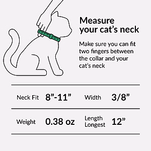 CollarDirect Leather Cat Collar with Bell - Kitten Collar, Small and Big Cat Collar for Boy Cats, Girl Cats with Safety Elastic Strap (Neck Fit 8"-11", Black)