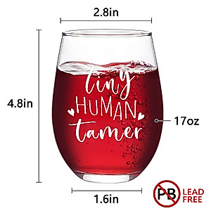 Modwnfy Teacher Appreciation Gifts, Tiny Human Tamer Stemless Wine Glass Gifts for Preschool Daycare Kindergarten Elementary School, Thank You Gifts Birthday Christmas Gifts for Daycare Teacher 17Oz