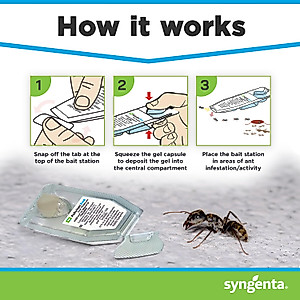 Syngenta Advion Ant Gel Station Insecticide, 3 Stations x 4-Grams, Ready-to-Use Ant Gel Bait with The Active Ingredient Indoxacarb, Ant Bait for Use Indoor and Outdoor, Long-Lasting Ant Killer