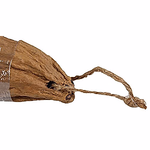 Penn-Plax Kapok Pod for Birds and Small Animals – Meets and Satisfies The Various Chewing and Nesting Needs of Tiny Critters