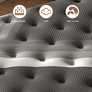 Lechepussleep Full Mattress,Lechepus 14Inch Soft Memory Foam Hybrid Mattress in Box,Plush Feel Full Size Mattress with Supportive Pocket Coil for Back Pain Relief,Motion Isolation, None of Fiberglass