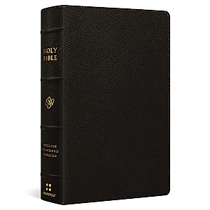 ESV Large Print Personal Size Bible (Buffalo Leather, Deep Brown)