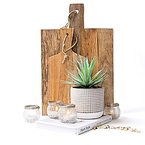 Kurrajong Farmhouse Artificial Plant | 8" Fake Plant | Artificial Succulent in Pot | Fake Succulent | Faux Plant Indoor | Succulent Plant Artificial | Faux Succulent in Pot