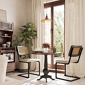 MeetLeisure Patio Dining Chair Set of 2 with Cushion for Outdoor Mid-Century Modern Chairs with Metal Chrome Legs, Armless Mesh Back Cane Chairs, Home Dining Accent Chairs, Beige