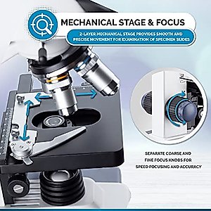 AmScope B120C-WM-PS100 Siedentopf Binocular Compound Microscope, 40X-2500X Magnification, Brightfield, LED Illumination, Abbe Condenser, Double-Layer Mechanical Stage, Includes Book and Set of 100 Prepared Slides