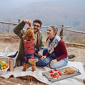 MOLINGRITAR 2 Pack Round Acrylic Trays with Gold Plastic Handles, Gray, 16.1 x 8.7 in