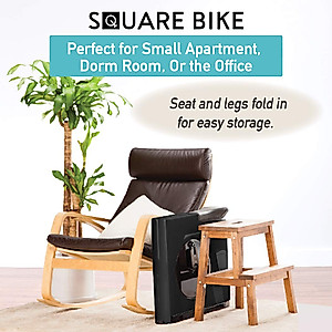 Compact Exercise Bike with 8 Levels of Magnetic Resistance - Stationary Bike For Home & Under Desk Exercise by Daiwa Felicity (Black)