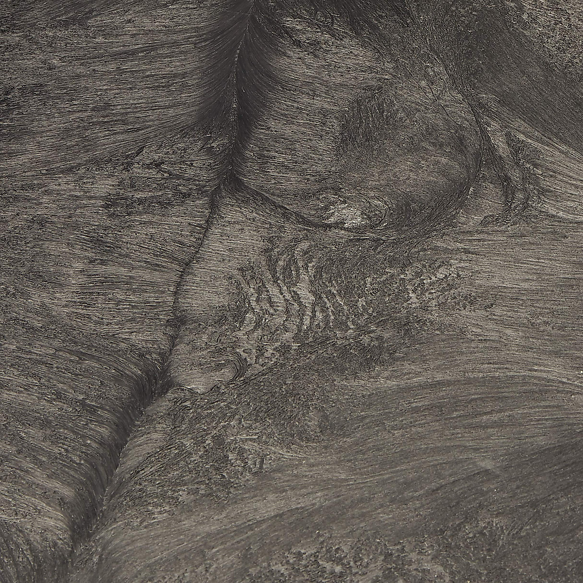 Rubbermaid Commercial Products 2-Shelf Utility/Service Cart, Small, Lipped Shelves, Storage Handle, 500 lbs. Capacity, for Warehouse/Garage/Cleaning/Manufacturing (FG450089BLA)