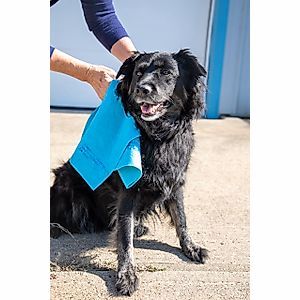 The Original Quality German Shammy Wholesaler since 1983, 6 MIDNIGHT BLACK XL 20x28 inch, Authentic 260 Gram Chamois Cloths, Super Absorbent Chamois Towels for car, pet, kitchen, BONUS KITCHEN SHAMMY!