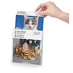 Cat Page-A-Day Gallery Calendar 2021