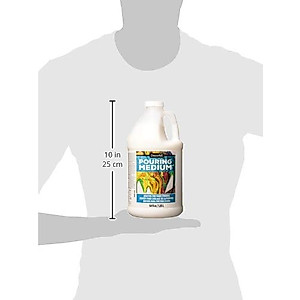 DecoArt Pouring Medium, 64 Fl Oz (Pack of 1)