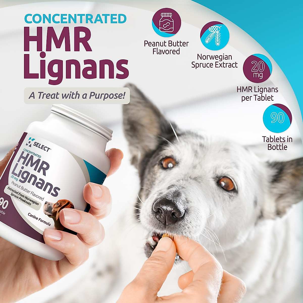 K9 Select HMR Lignans for Dogs - Enhancer for Overall Wellness, Immune Support for Dogs - Norway Spruce Extract Holistic Dog Health - Digestion, & Coat Care - Peanut Butter, 20mg, 90 Tablets